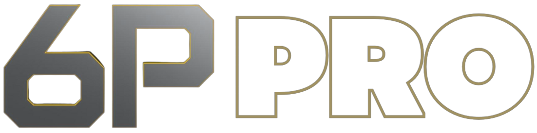 6P PRO | AI-Powered Sales Training & Cold Call Simulator